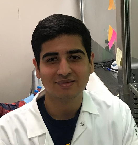 Shaan Sekhon | The Ansel Lab Shaan Sekhon | The Ansel Lab